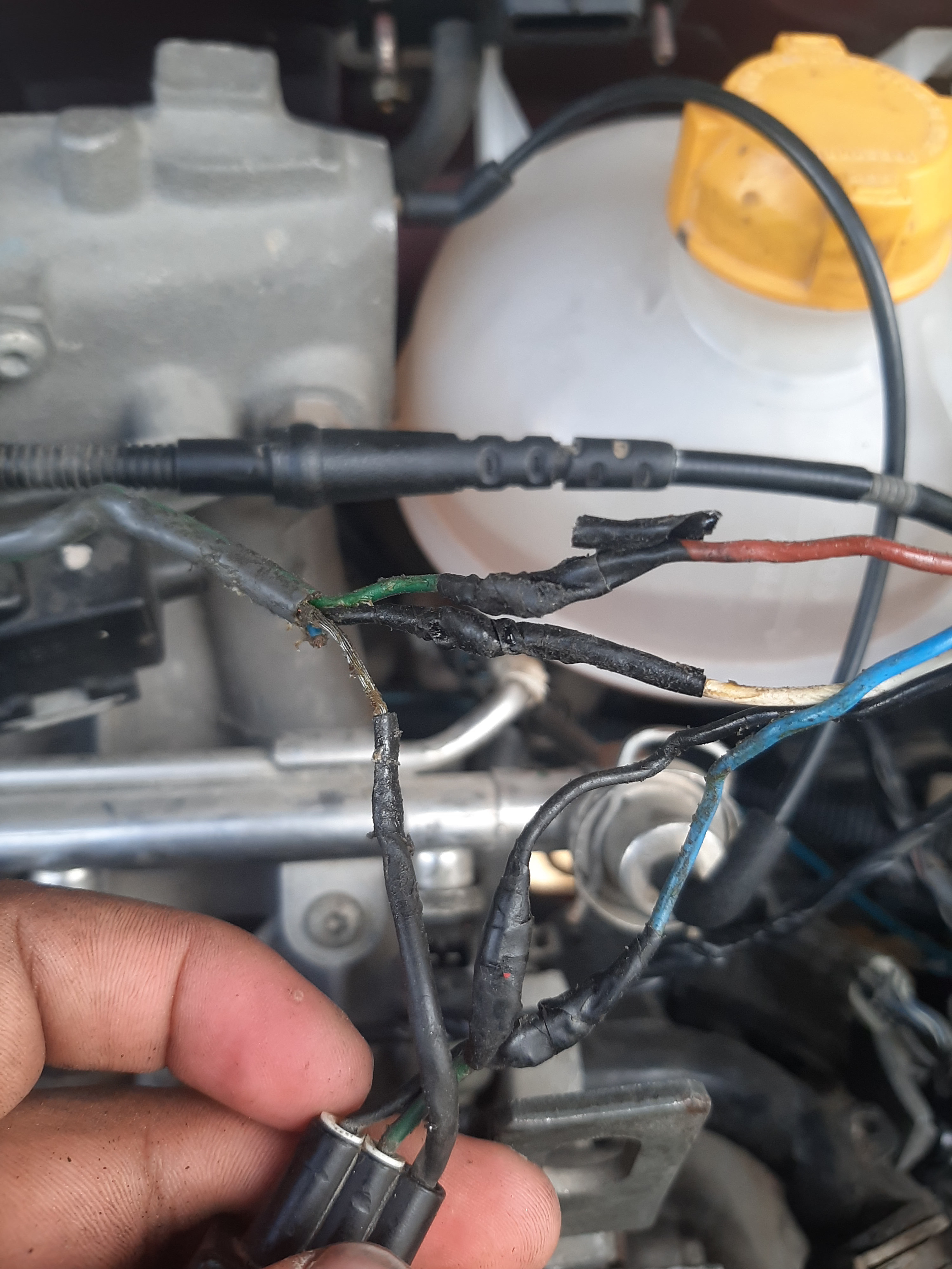 Conector del sensor del Cigueñal - Electrónica - Club Corsa CCV